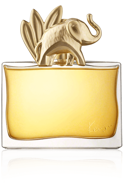 Kenzo Jungle Eau de Parfum Spray > 61% reduziert